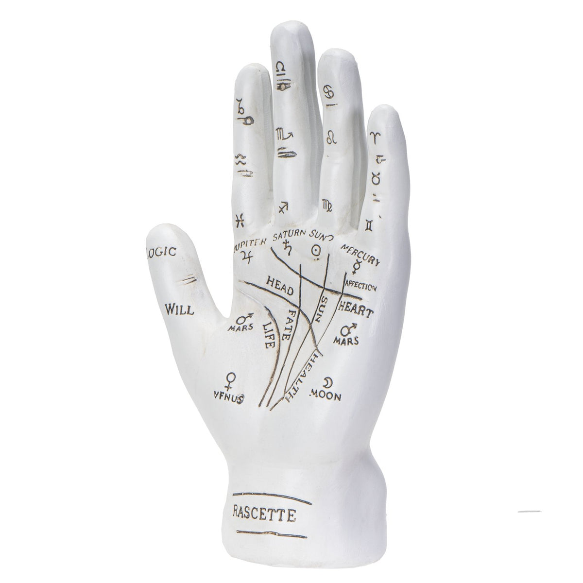 PACIFIC GIFTWARE Palm Reading Hand Statue – Amazing GiftImpact